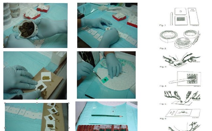 Kato-Katz :: Coproparasitoscopico - Tecnicas